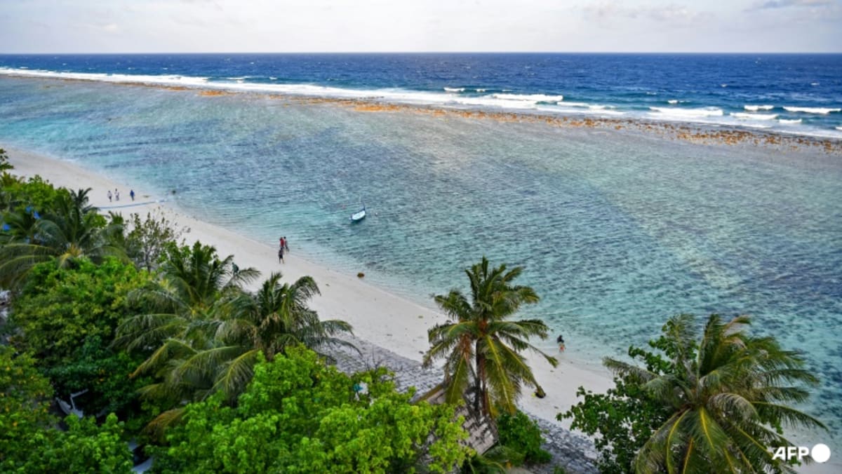 Smaller fish, bleached corals: Maldives hit by several threats from ...