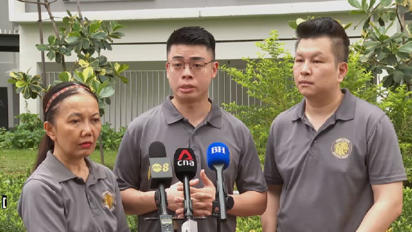 GE2025: Parti kecil berperanan sebagai suara rakyat, kata calon SUP ...