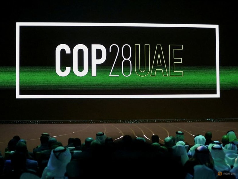 COP28 summit host UAE's climate plans ranked 'insufficient' - TODAY