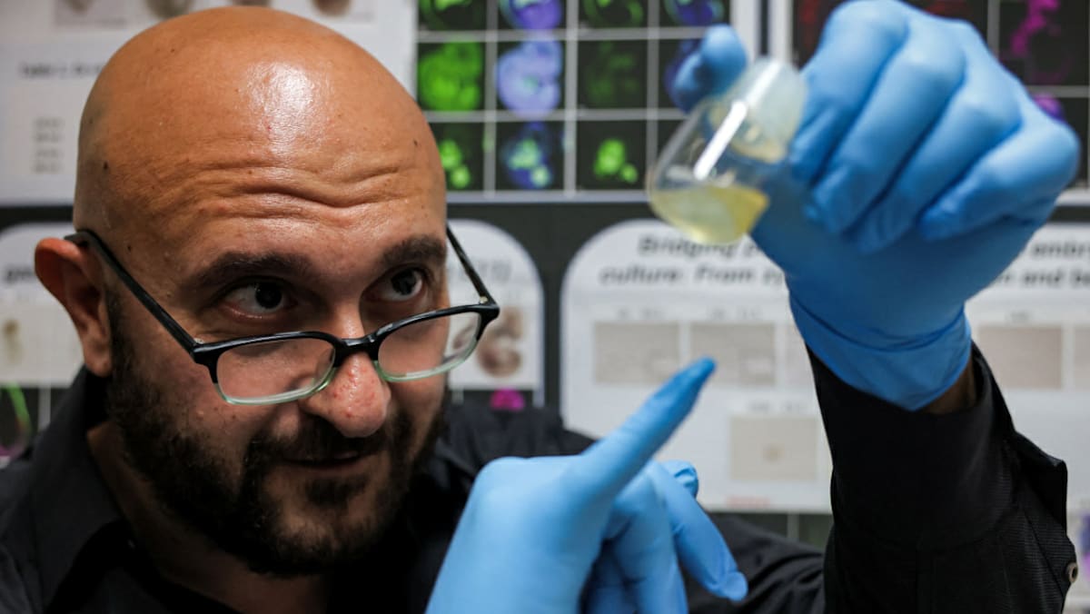 Commentary: World’s first ‘synthetic embryo’ - why this research is ...