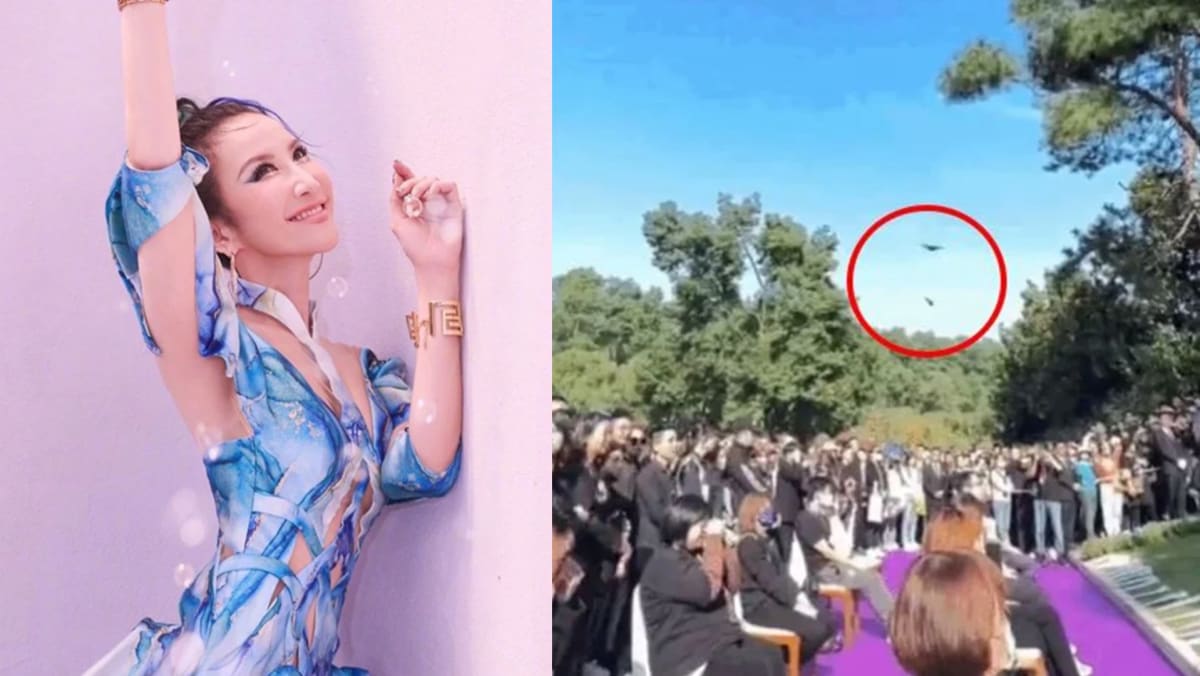 'Coco has reunited with her dad': Pair of butterflies spotted ...