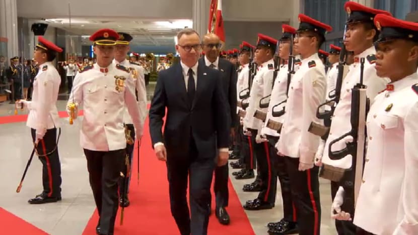 Polish President Duda concludes state visit to Singapore to reaffirm ...