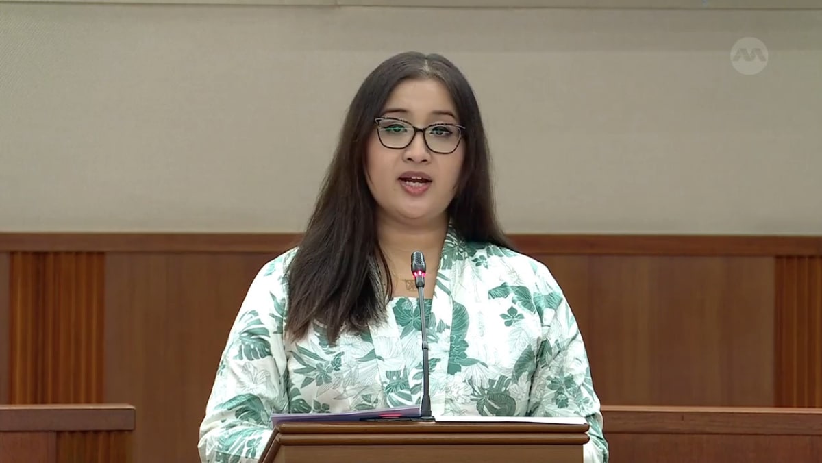 Budget 2025 debate: Nadia Ahmad Samdin on the Singapore dream and ...