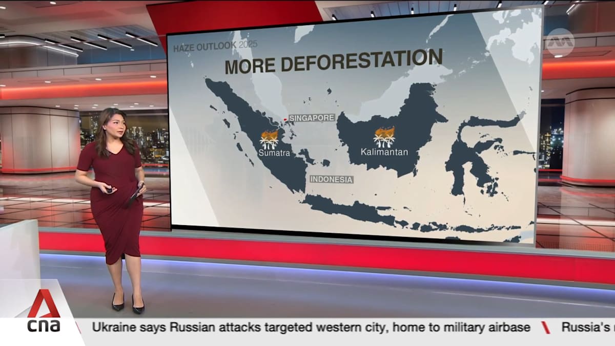 Singapore faces medium risk of severe transboundary haze in 2025 ...