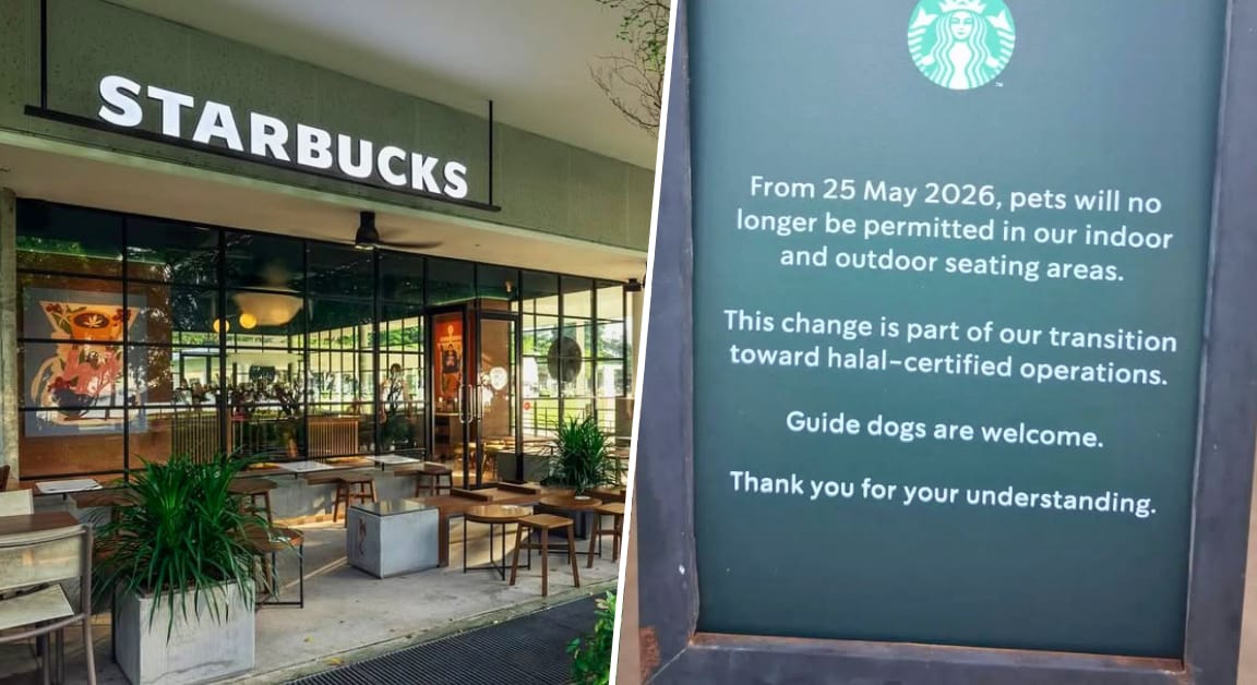 MUIS Says Starbucks S'pore Hasn’t Applied For Halal Cert, Tells It To ...