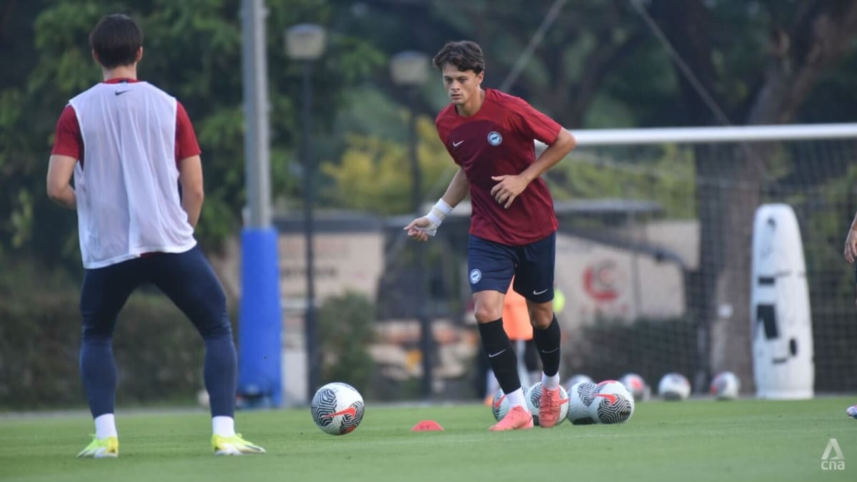 Cardiff City footballer Perry Ng applying for Singapore citizenship via ...