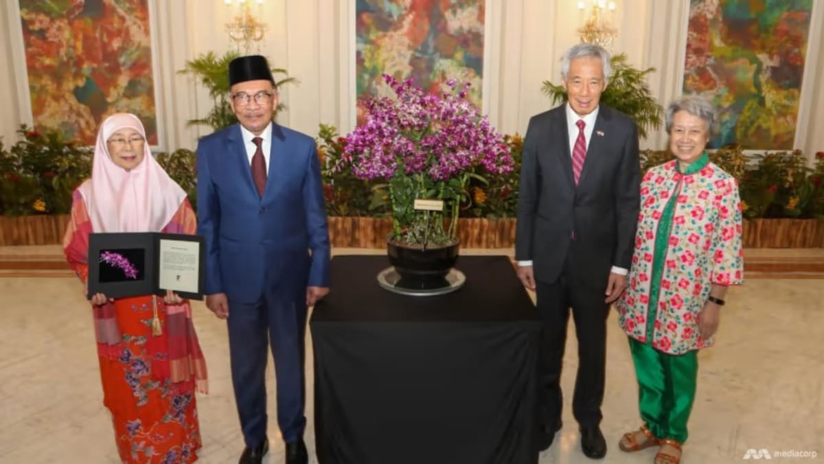 Kerjasama ekonomi digital, hijau antara perjanjian dimeterai sewaktu ...