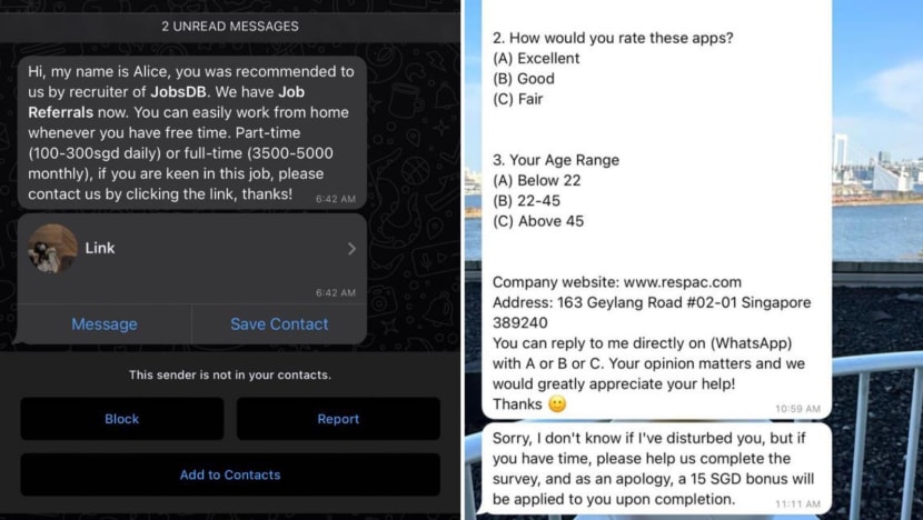About S$20 million lost to job scams since May: Police - CNA