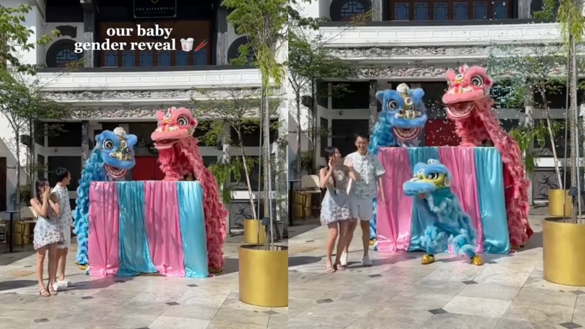 S'pore Influencer Holds Gender Reveal Party With Lion Dance - 8days