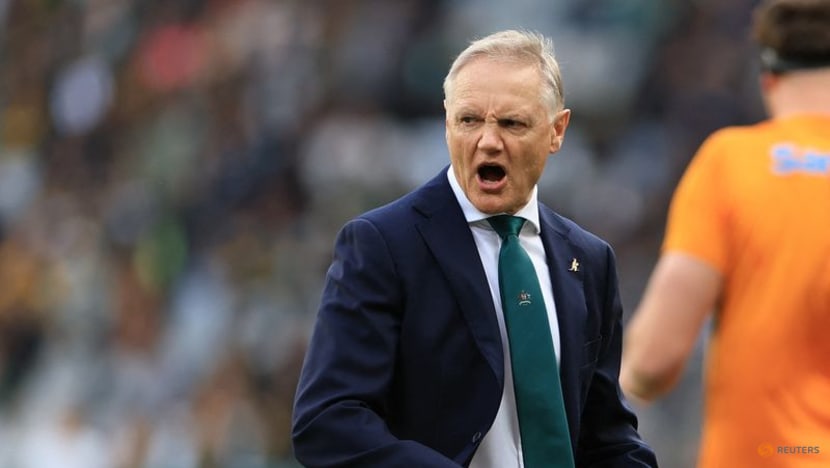 Schmidt can see improvement in Australia despite defeat - CNA