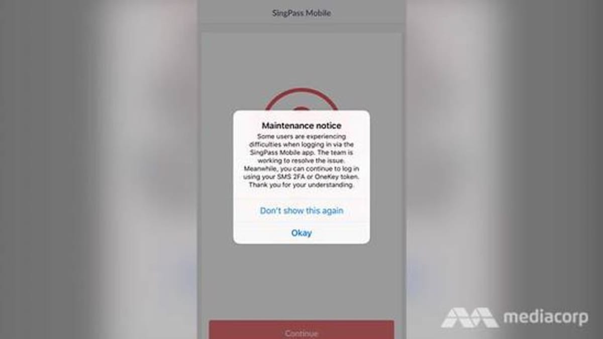 SingPass, CorpPass "tidak dapat diakses buat sementara waktu", menurut ...