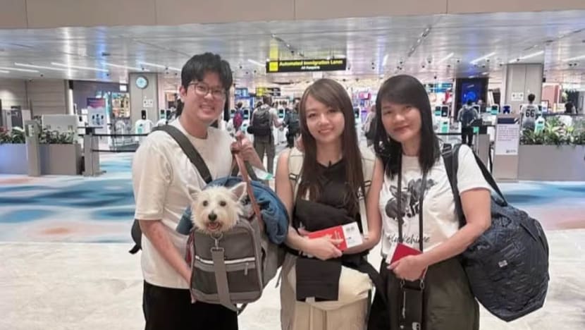 How S’poreans Travel With Pets To Japan & Europe Hassle-Free — No ...