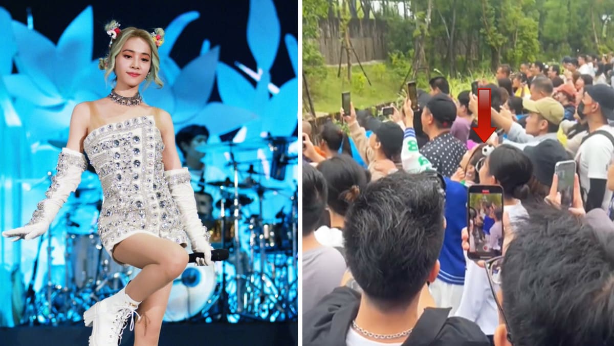 Jolin Tsai seen squeezing and tip-toeing in crowd to see pandas - CNA ...