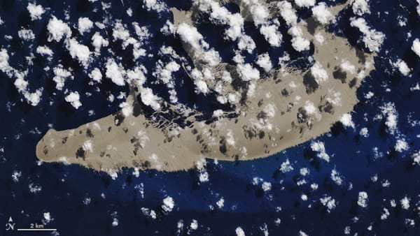 pumice stone floating