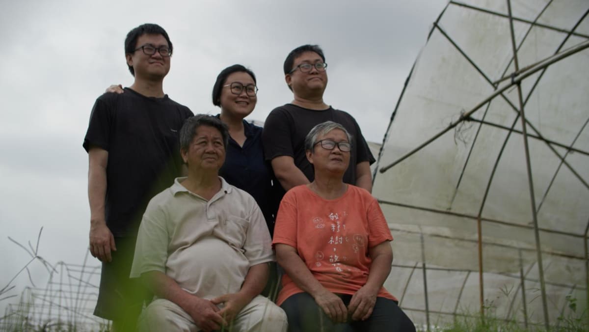 Portrait of the Chai Family - S1: Portrait Of The Chai Family - CNA