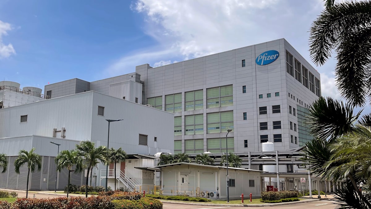 Pfizer's new S$1 billion facility extension opens in Tuas, to create ...