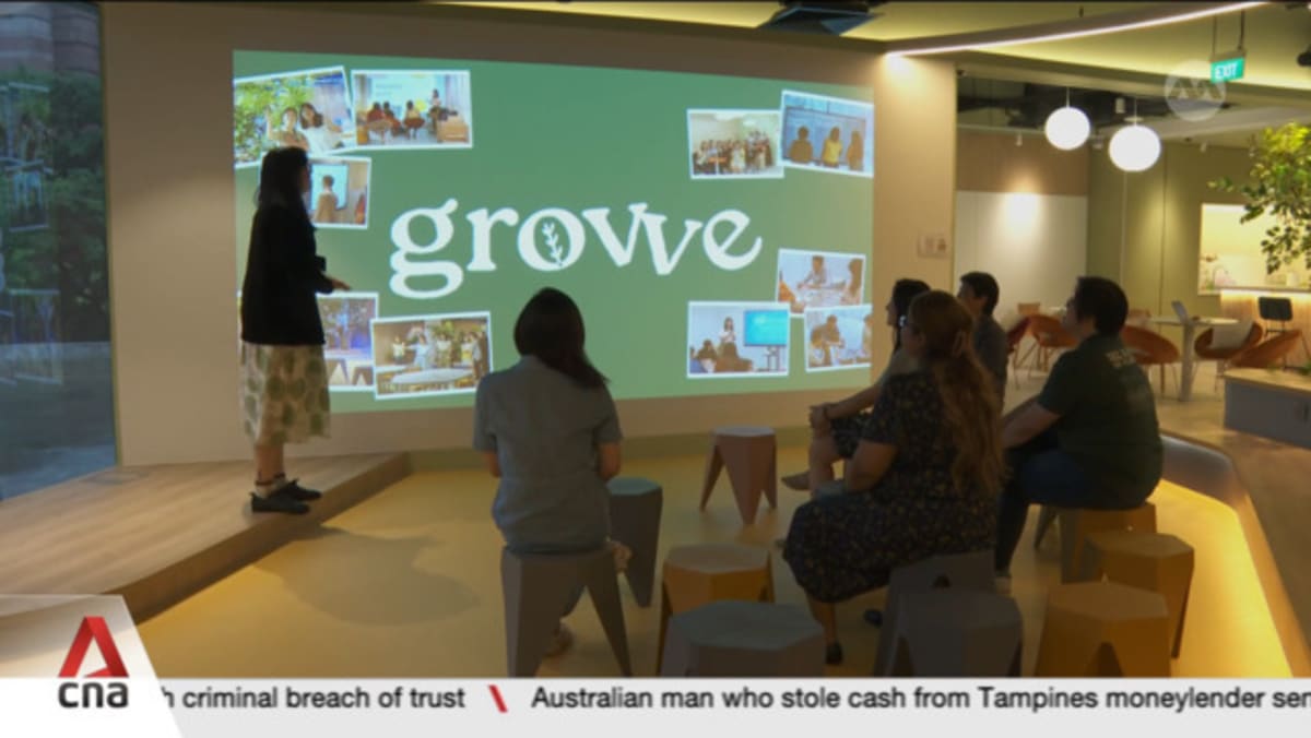 Grovve centre at *SCAPE offers youths, caregivers one-stop mental ...