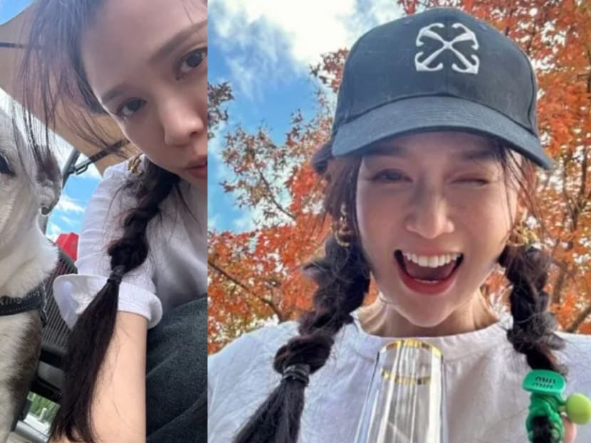 Taiwanese actress Joe Chen slammed for speaking out for stray animals ...