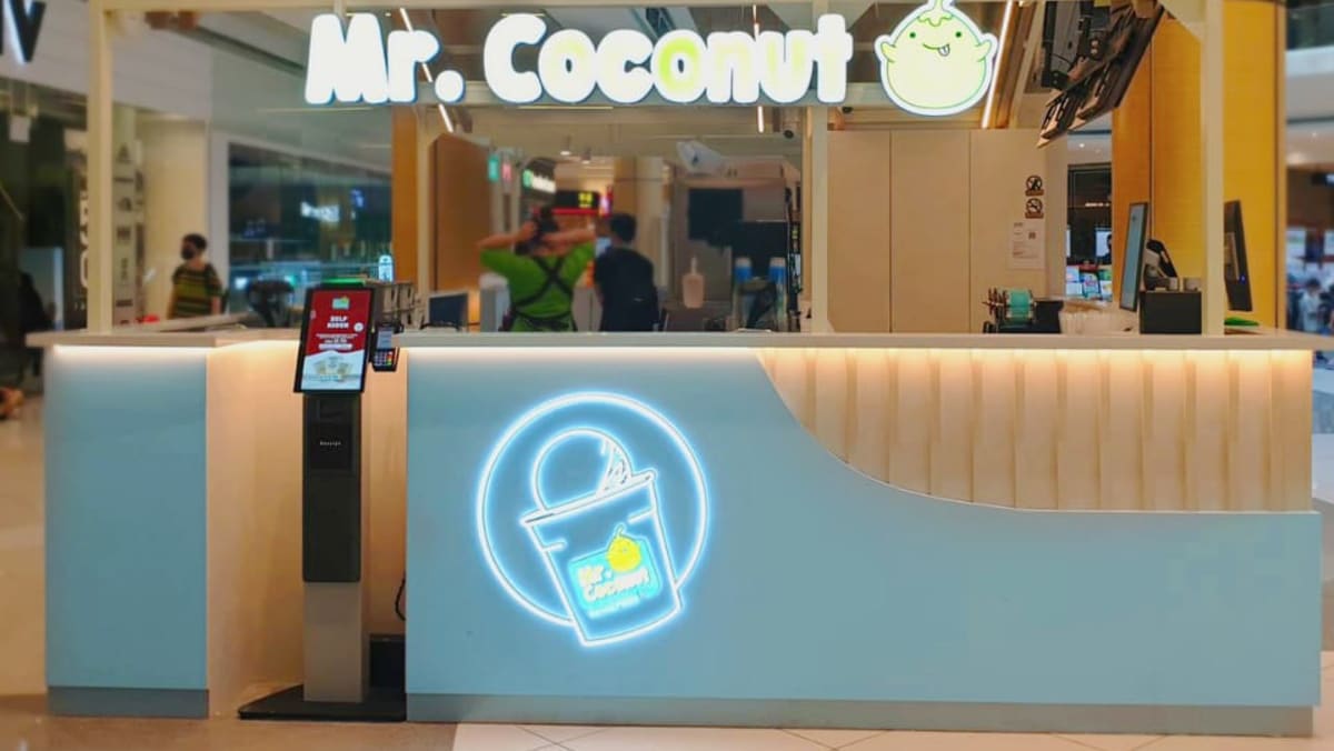 Hot Take: Mr Coconut vs pregnant ex-employee — if you shake the tree ...