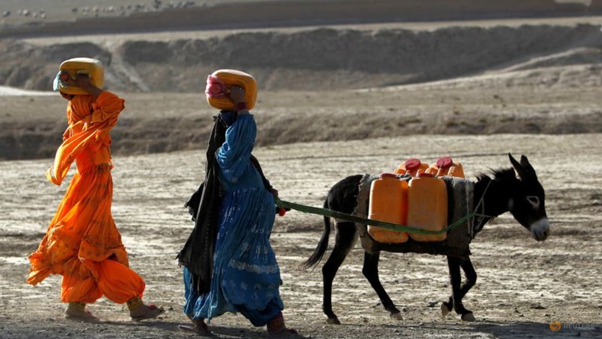 Afghanistan excluded from COP28 as climate impacts hit home - TODAY