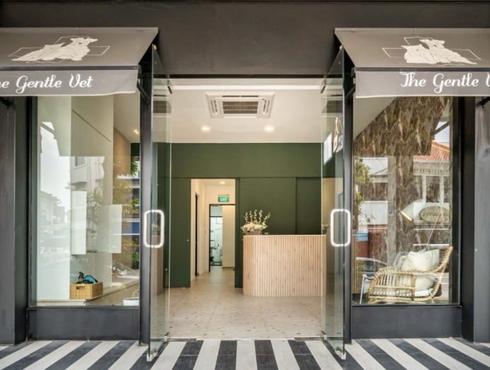 The Gentle Vet: Dr Kelly Yeo helps geriatric pets on their final ...