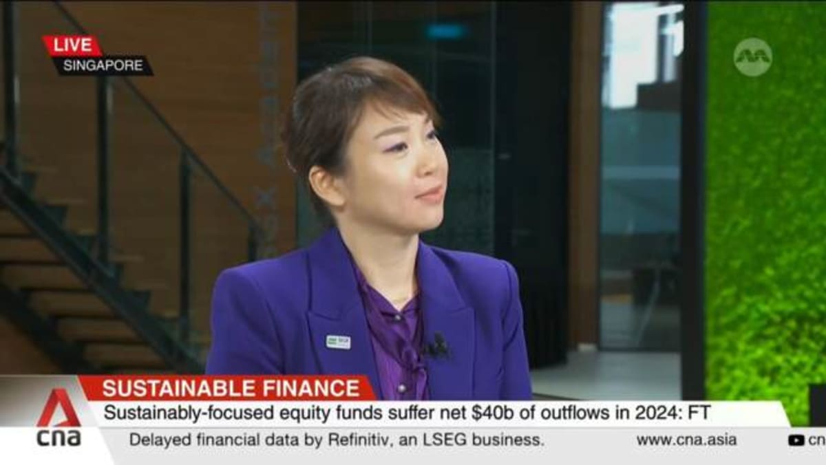 Singapore has a lot going for it to become a sustainable finance hub ...