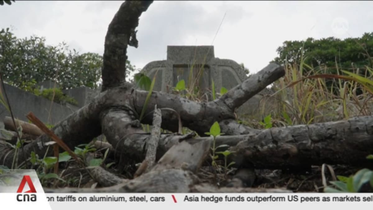 Central Java grave hunter: Uncovering burial sites to learn about ...