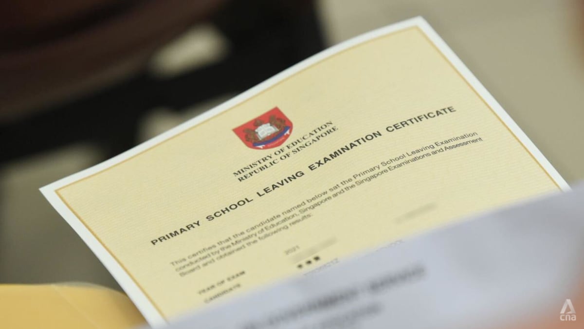 PSLE results to be released on Nov 23 - CNA