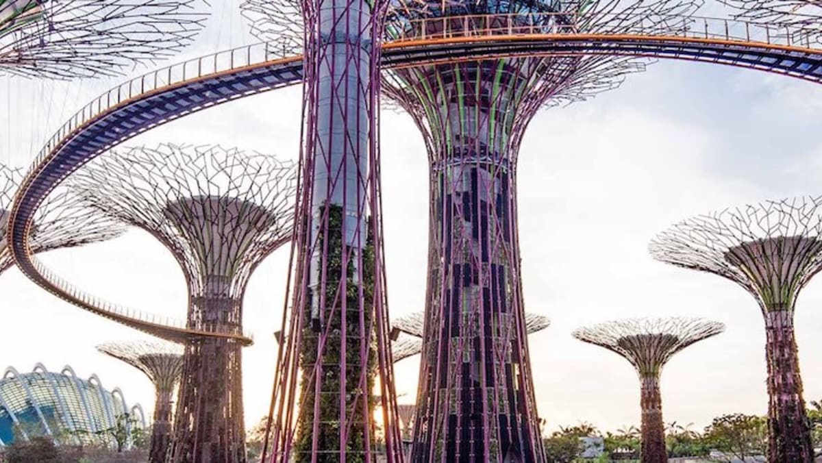 Kawasan paya bandar di Taman di Pesisiran bakal miliki saiz seganda ...