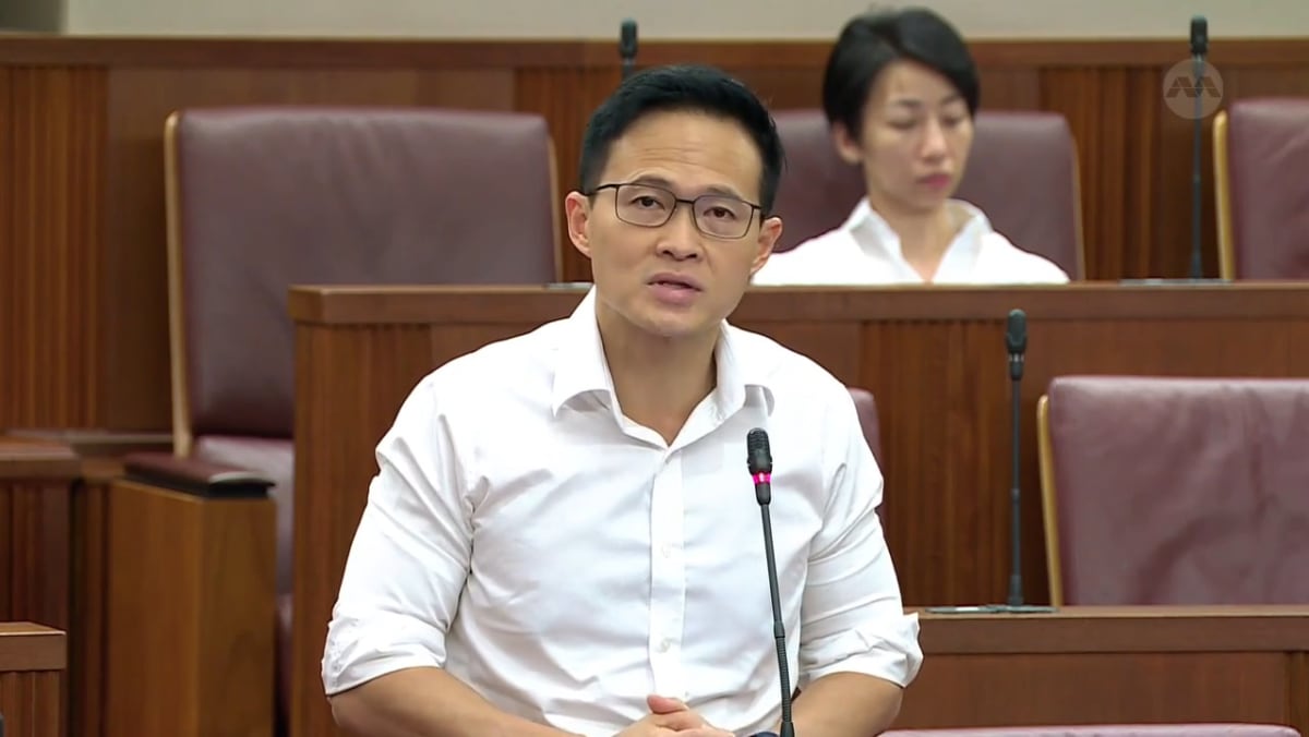 Desmond Choo on Anti-Money Laundering and Other Matters Bill - CNA
