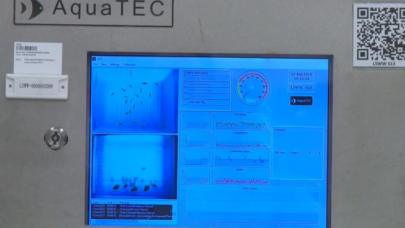 Fish monitoring system, daily testing: How PUB maintains Singapore’s ...