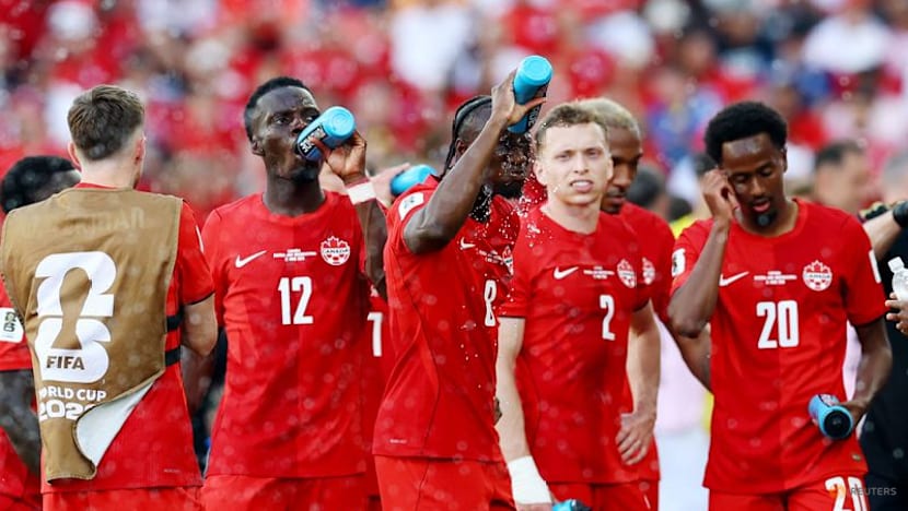 Switzerland and Bosnia seek breakthrough in wide-open World Cup Group B ...
