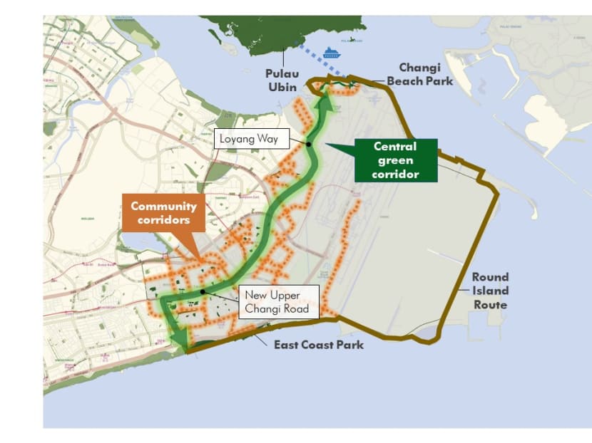 15km forest-like corridor to run through East Coast Park and Changi ...