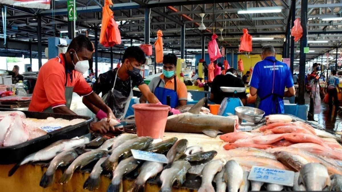 CNA Explains: What's behind rising fish prices in Malaysia? - CNA