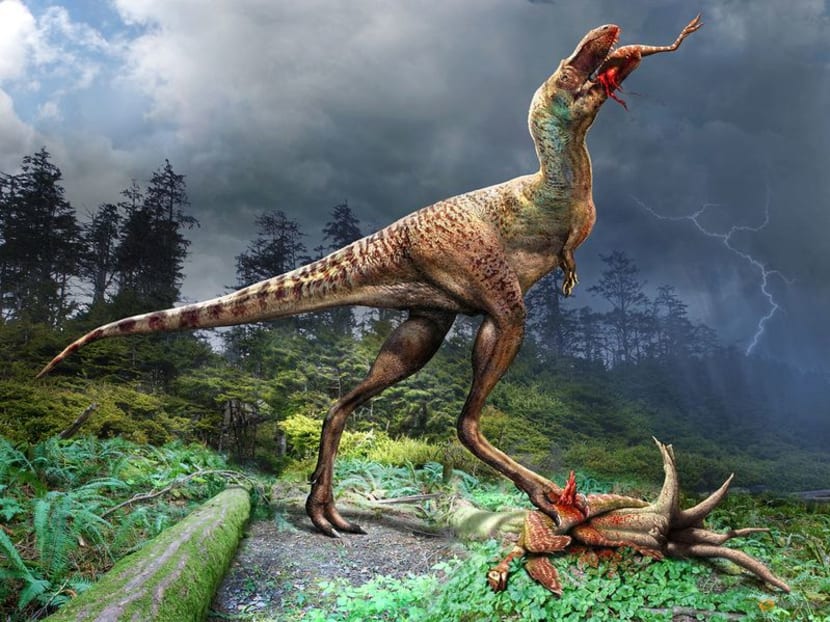 Fossils show dismembered young dinosaurs in belly of T. rex cousin - TODAY