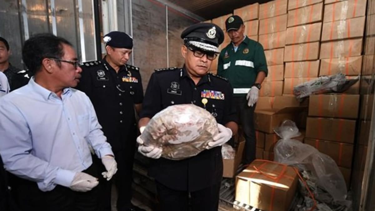 Polis rampas 3 kontena daging beku tenggiling di Sabah - BERITA Mediacorp