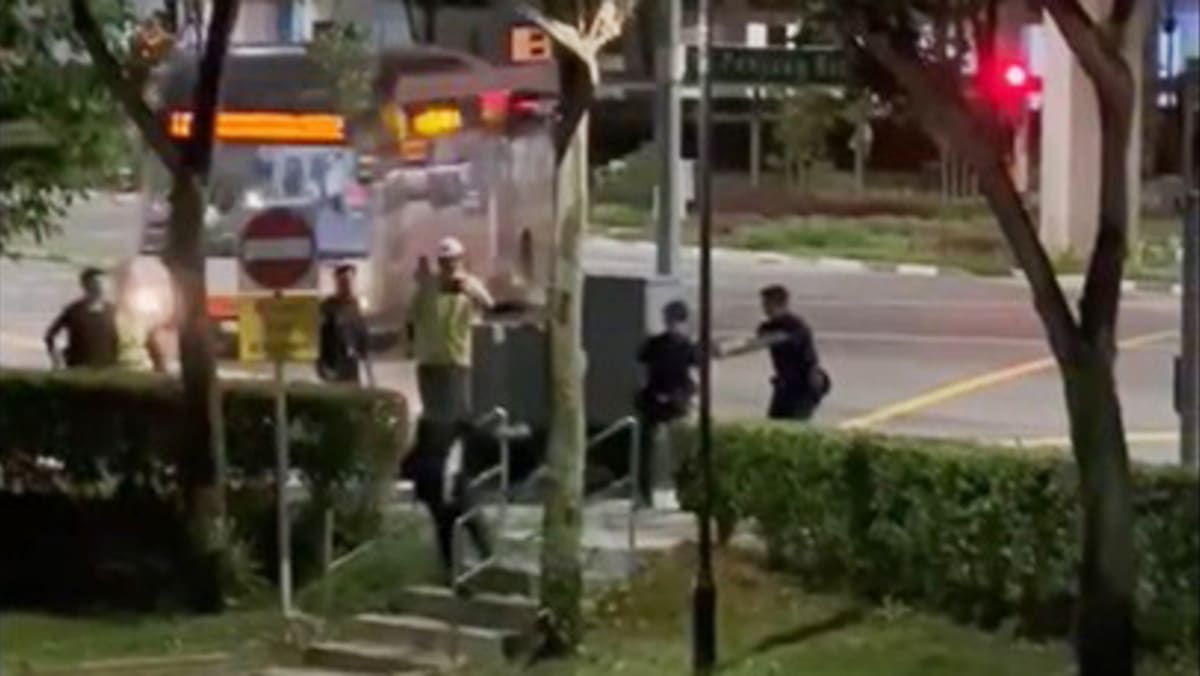 Man, 31, tasered and arrested after alleged assault on auxiliary police ...