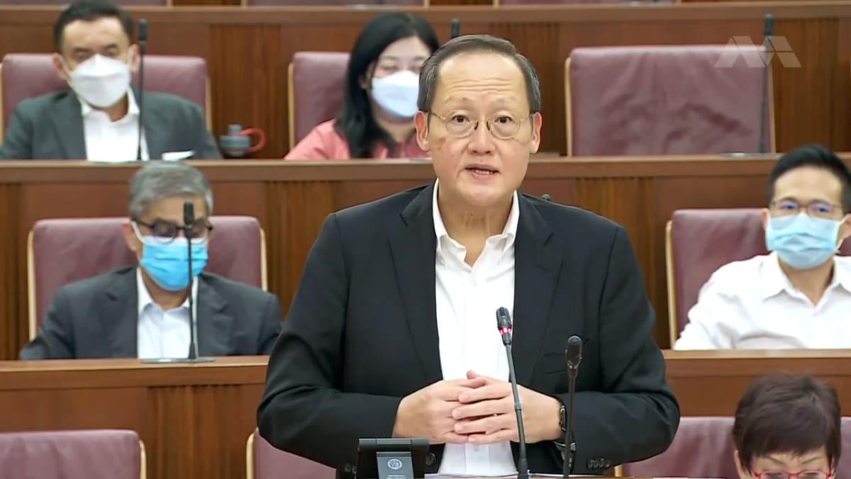 Tan See Leng on Silver Support Scheme - CNA