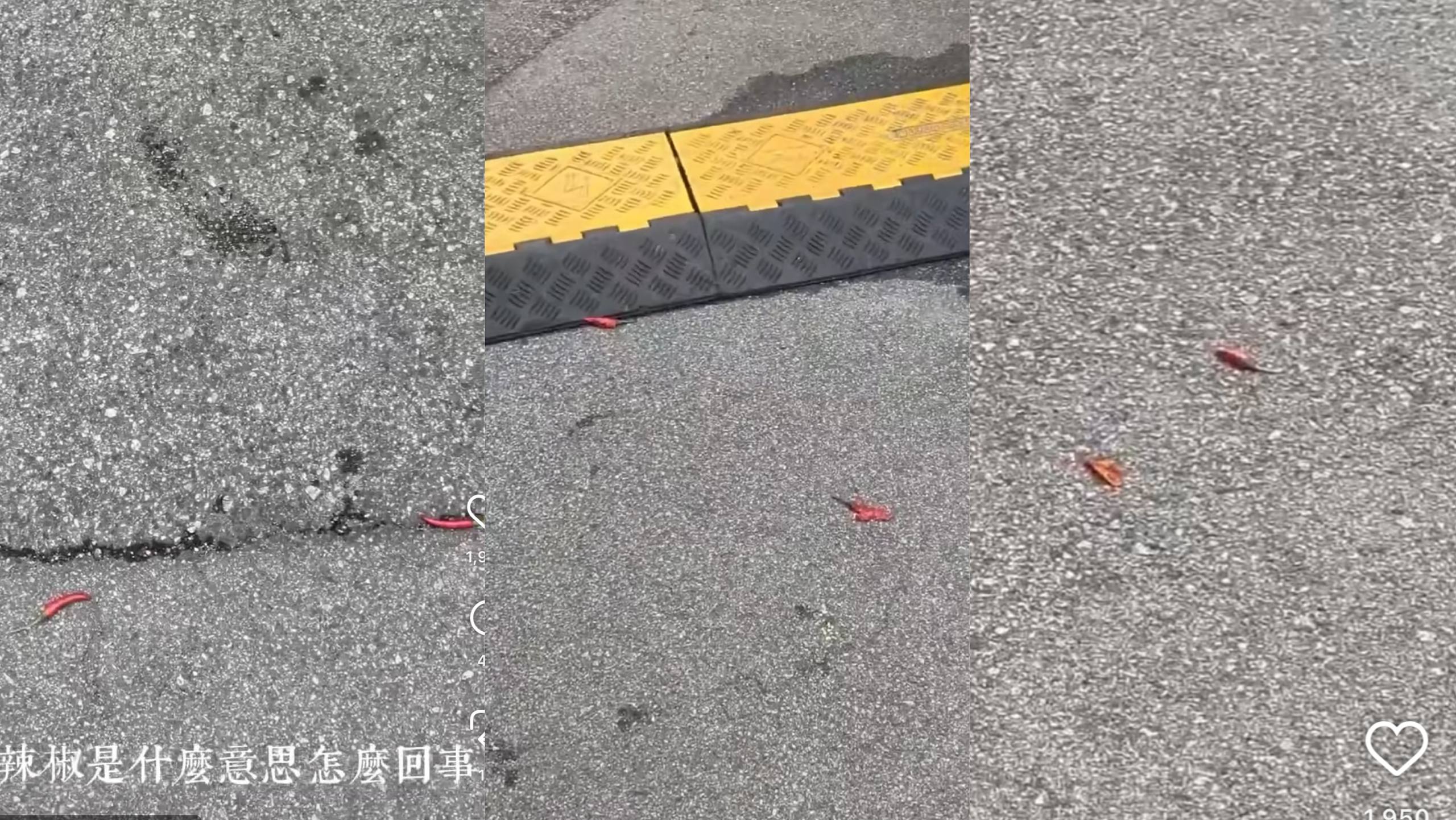 Wife Of 5566's Tony Sun Discovers Singaporeans' Ritual To Prevent Rain On Her Recent Visit - 8days