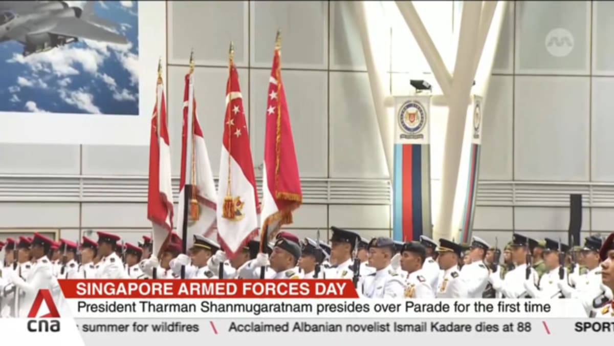 SAF Day: Commitment of Government, all Singaporeans make us united in ...