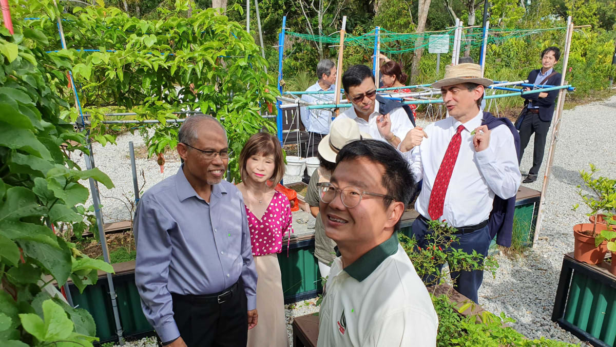 No risk of running short of food from short-term disruptions, but ...