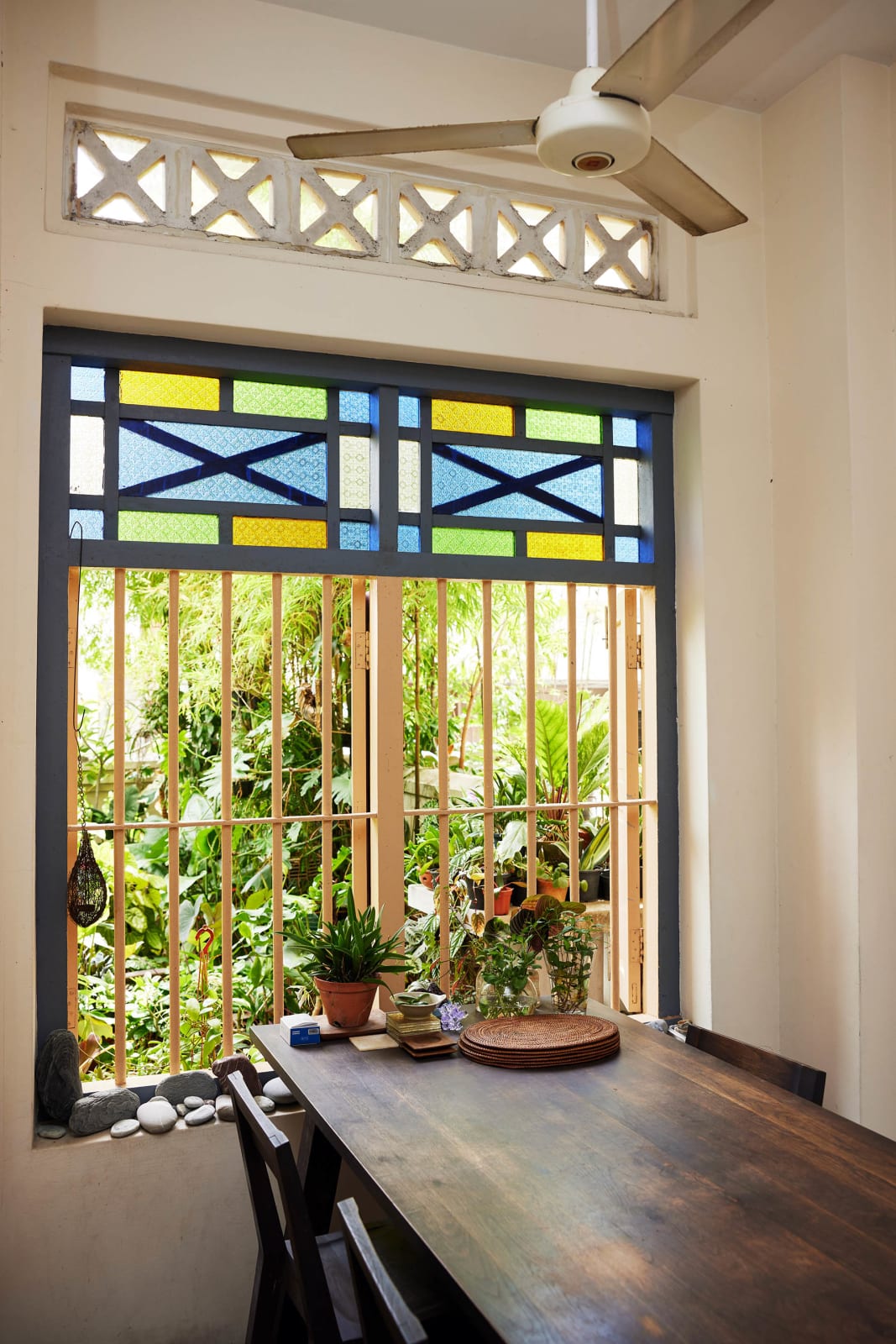 With Over 300 Plants At Home, This Plant Enthusiast Transformed His ...
