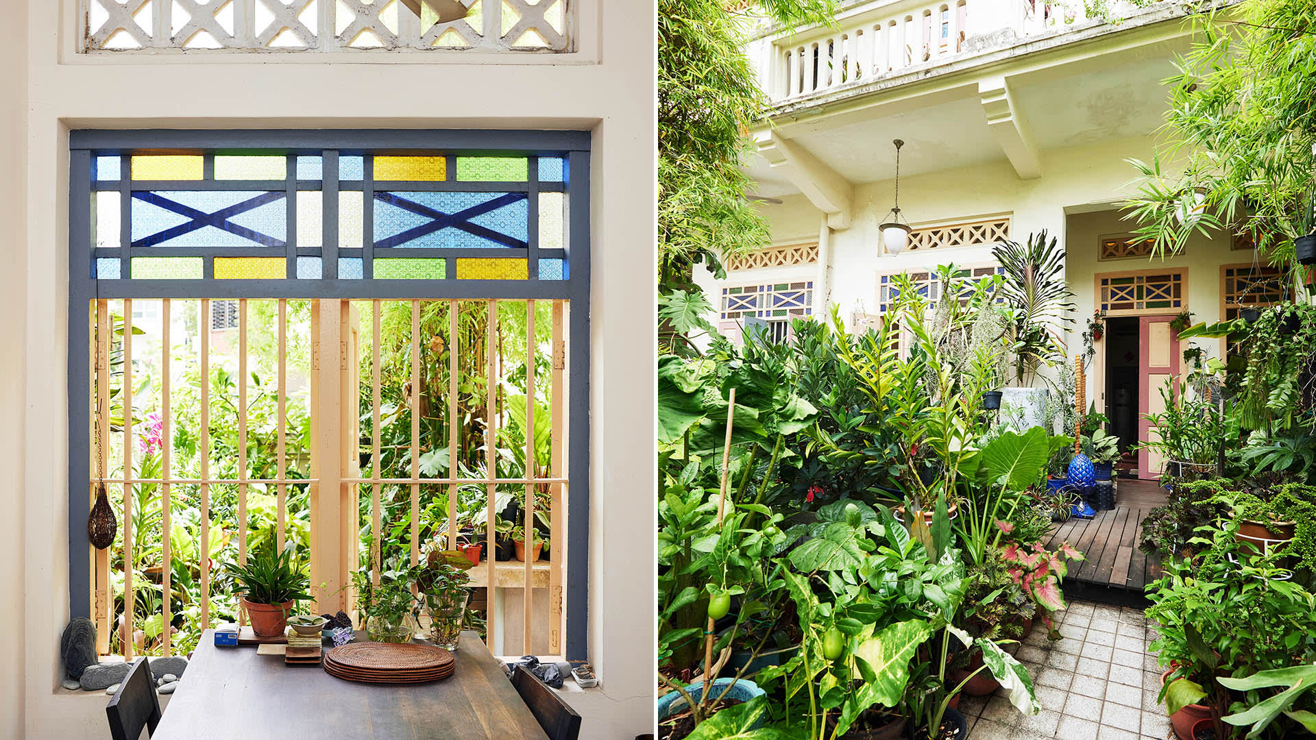 With Over 300 Plants At Home, This Plant Enthusiast Transformed His ...