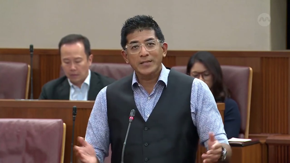 Committee of Supply 2024 debate, Day 6: Darryl David on heritage places ...