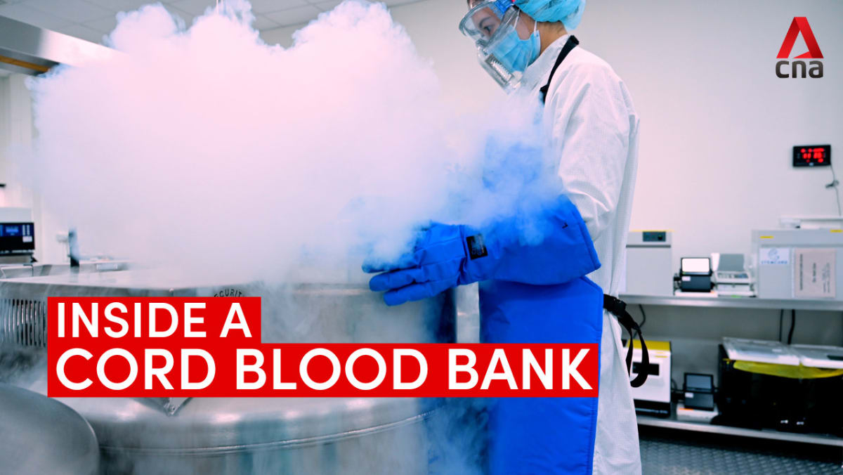 Inside a cord blood bank: How umbilical cord blood is stored at -180 ...