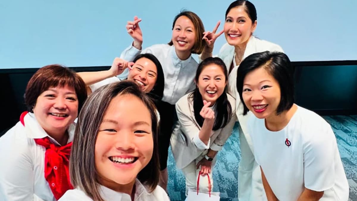 மக்கள் செயல் கட்சியின் அன்னையர் தினம் - Seithi Mediacorp