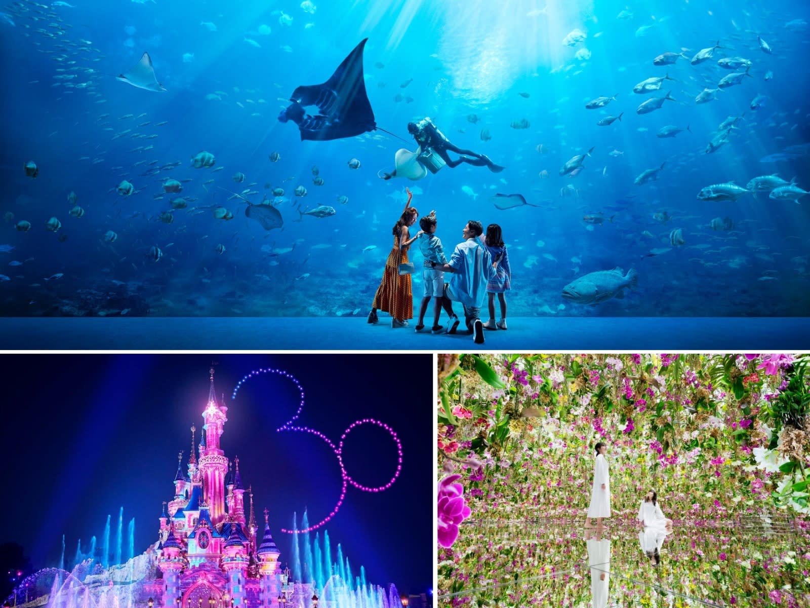 Celebrate National Day with bonus perks that stretch your KrisFlyer ...