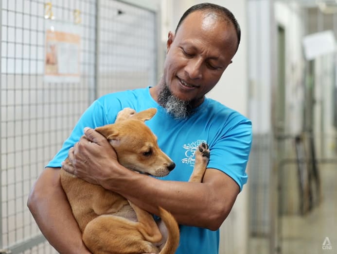 Meet the 2 Bangladeshi caretakers helping rescue dogs at a Singapore ...