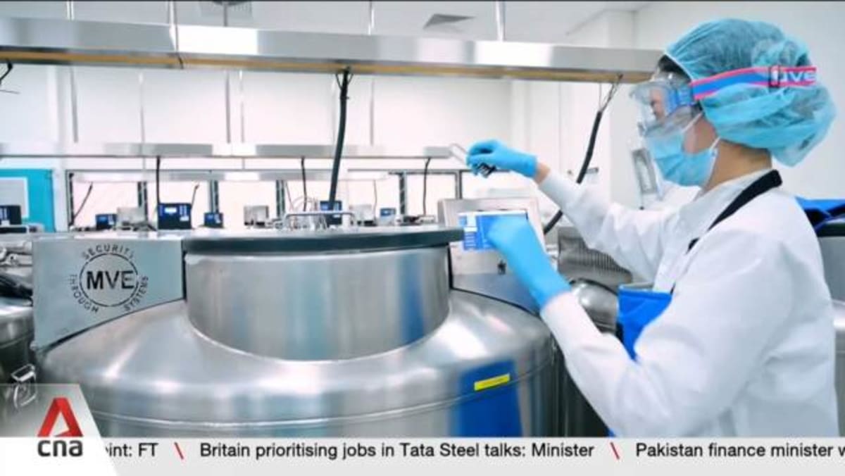 Inside a blood cord bank: How facilities store and maintain the quality of units - CNA