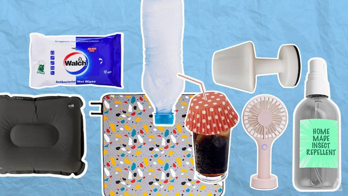 How to be a picnic pro: Simple hacks to enjoy your outdoor experience ...